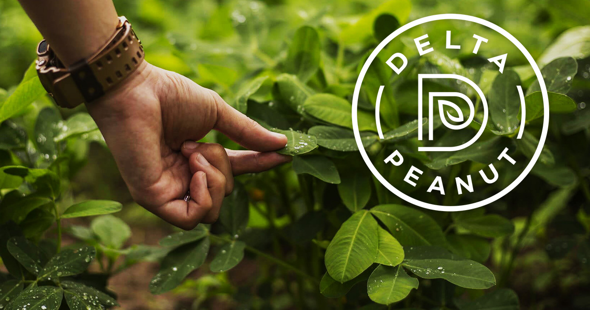 Home - Delta Peanut